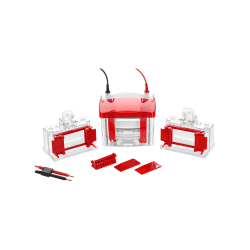 Electrophoresis | Mini Vertical Electrophoresis Cell